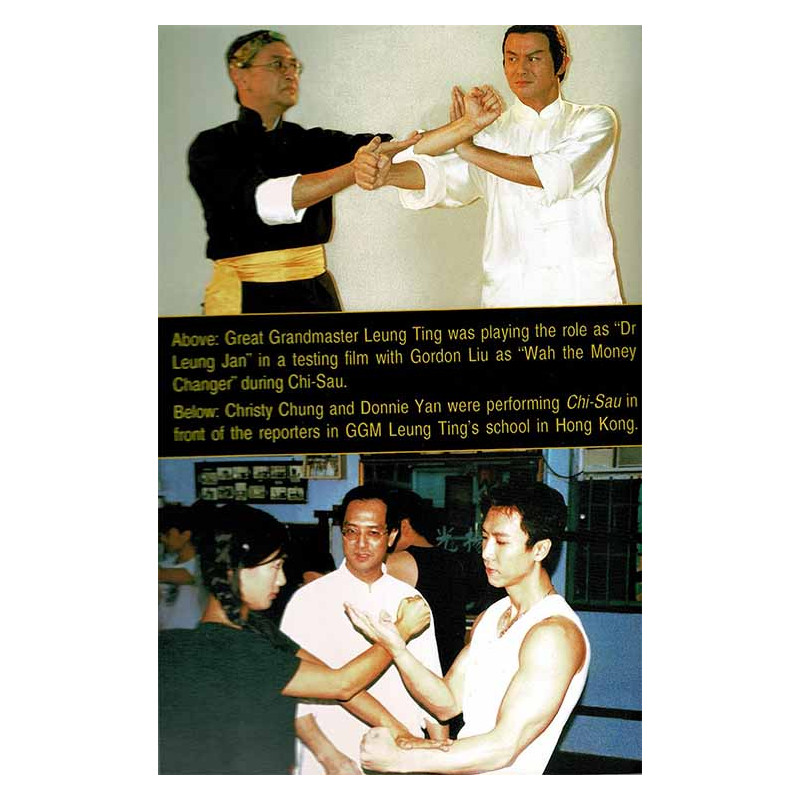 CHI SAU 3 & 4 BY LEUNG TING