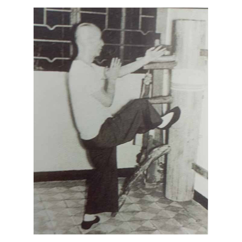 Ip Man Tong-Special Memorial Issue For Opening