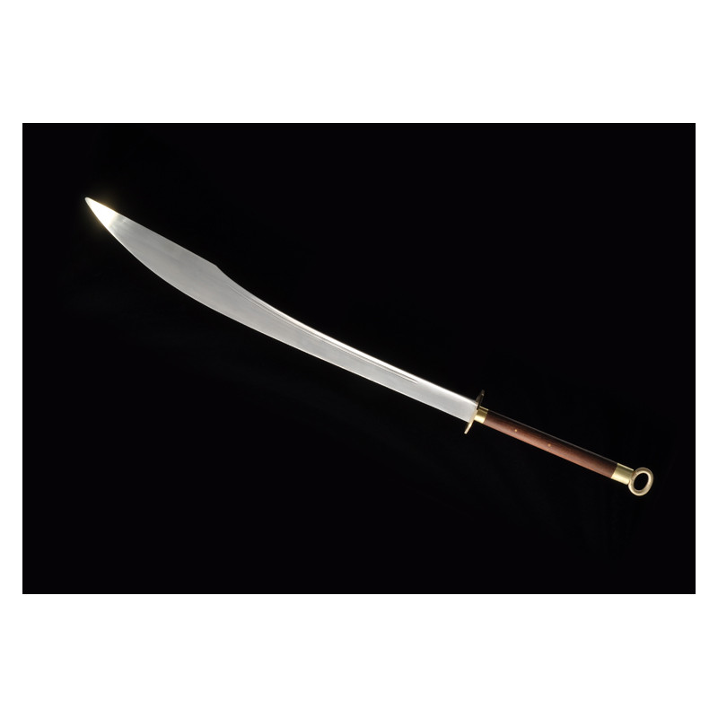 Spring Steel Ba Gua(8 diagram) Broadsword